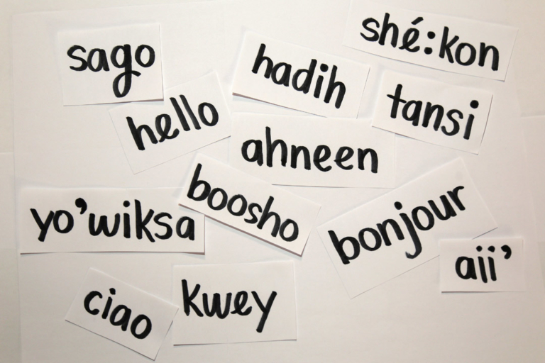 To preserve Indigenous languages, U of T must do better – The Varsity