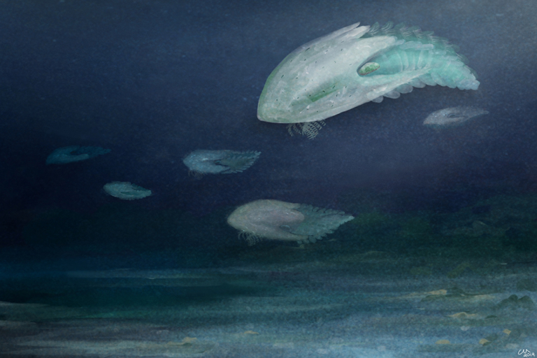 The life of Cambroraster, a new predatory species uncovered by U of T ...